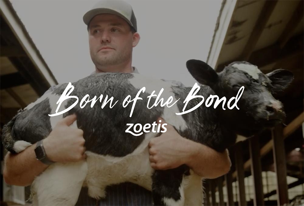 Zoetis – Building Human Connections through Brand Story | Nick Johnson